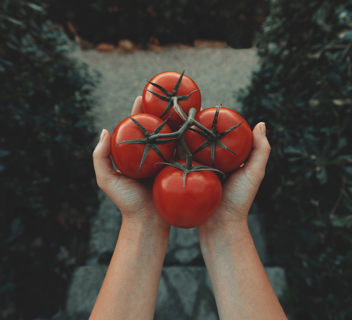 Supplements To Protect Against Prostate Cancer - What Helps?