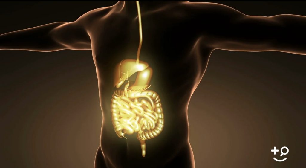 ABCs of GI Articles & Videos - Doctorpedia Gut Health Channel